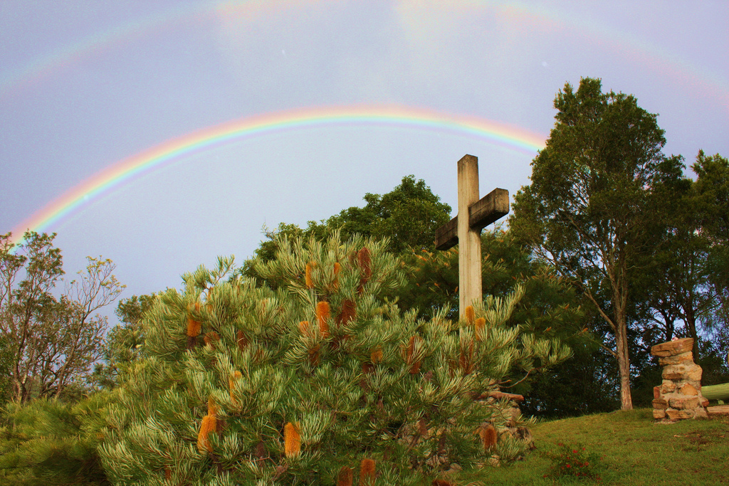 reconciled through the Cross | prayer & verse